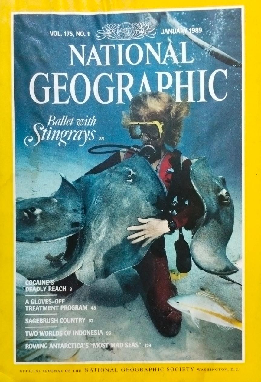 Ballet with stingrays [national geographic][rare books][january 1989 ...