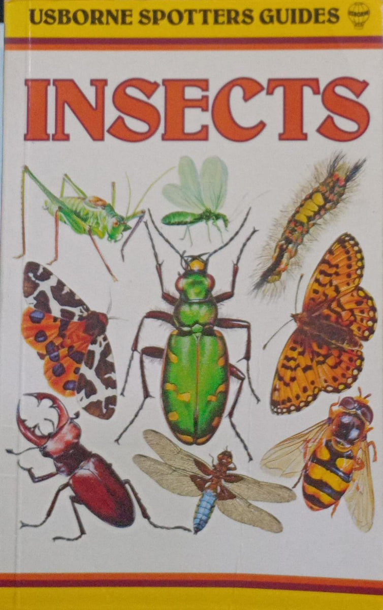 Insects (Spotter's Guide) – Best Of Used Books
