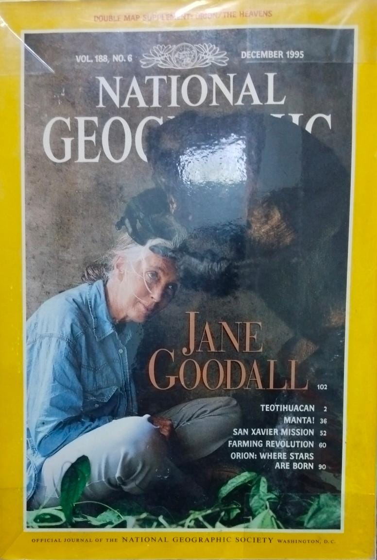 Jane goodall [national geographic][rare books][december 1995] – Best Of ...