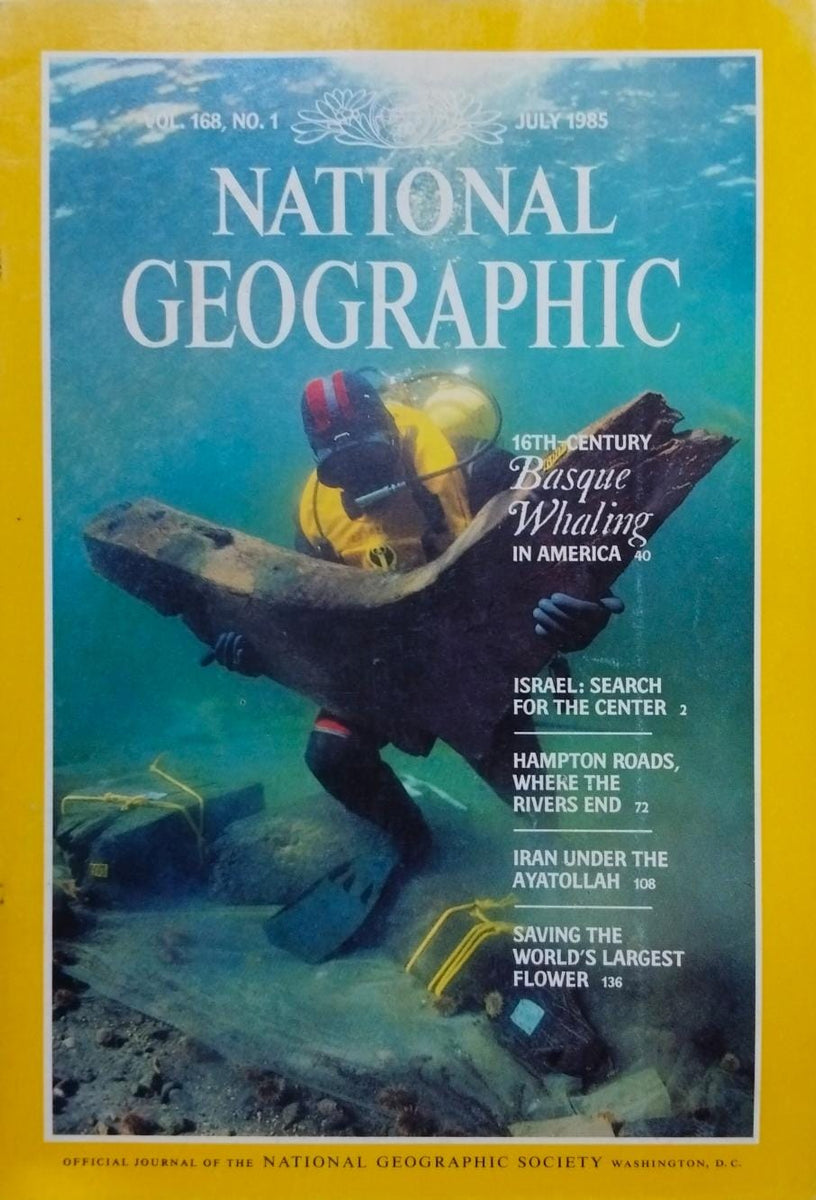 16th-century basque whaling in america [national geographic][rare book ...